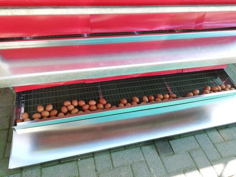 Easy Collect Free Range Nesting Box 250 - AIBO Engineering