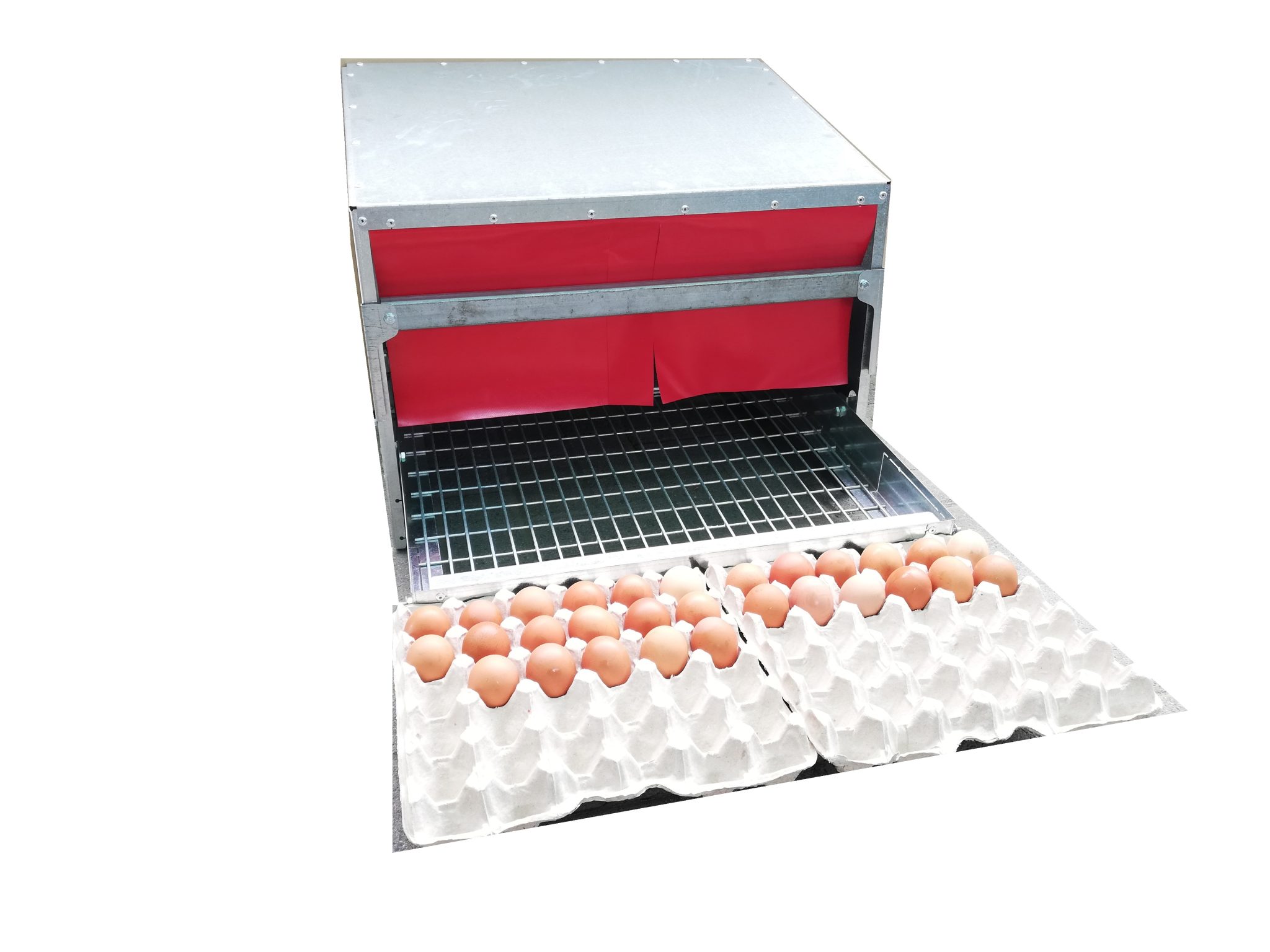 Easy Collect Free Range Nesting Box 40 - AIBO Engineering